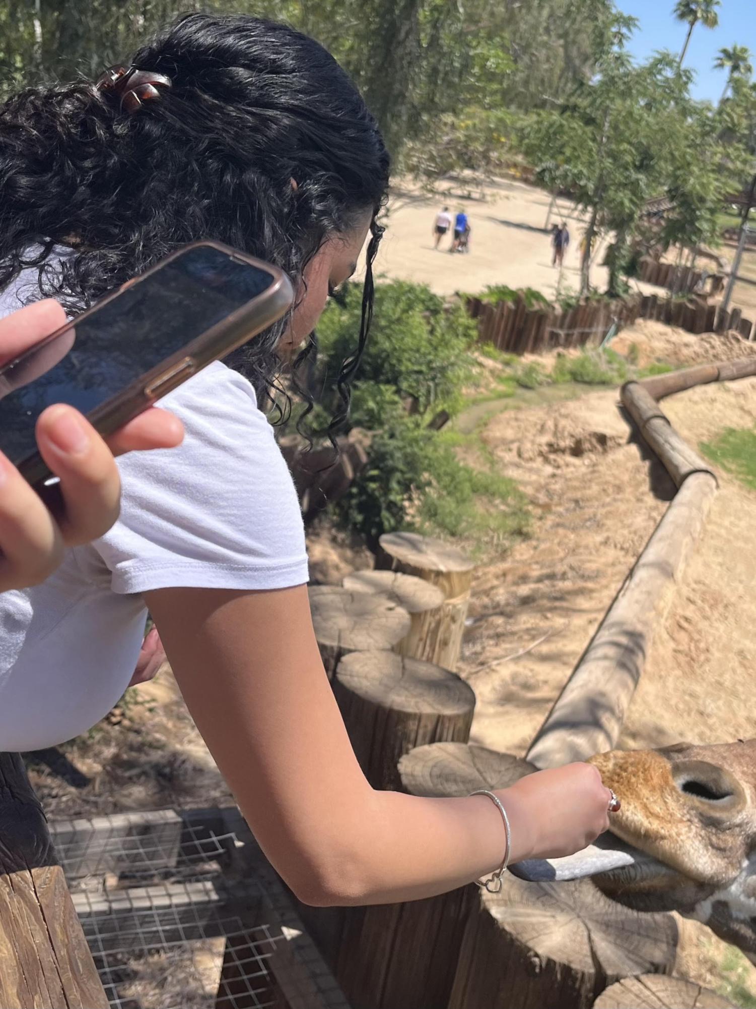 Biology Visits World Wildlife Zoo – Viper Times